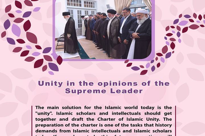 IUVM ARCHIVE | the main solution