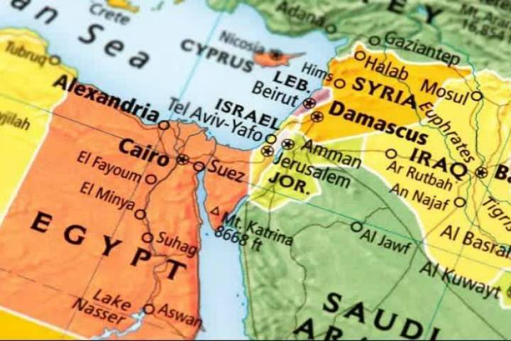 IUVM ARCHIVE | The “New Sham” project