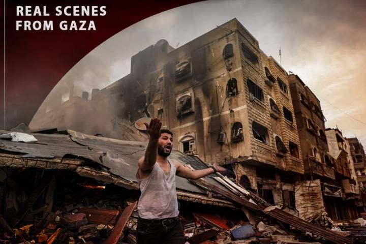 IUVM ARCHIVE | REAL SCENES FROM GAZA