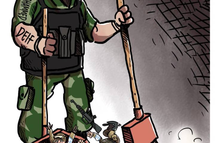 IUVM ARCHIVE | One fighter is enough