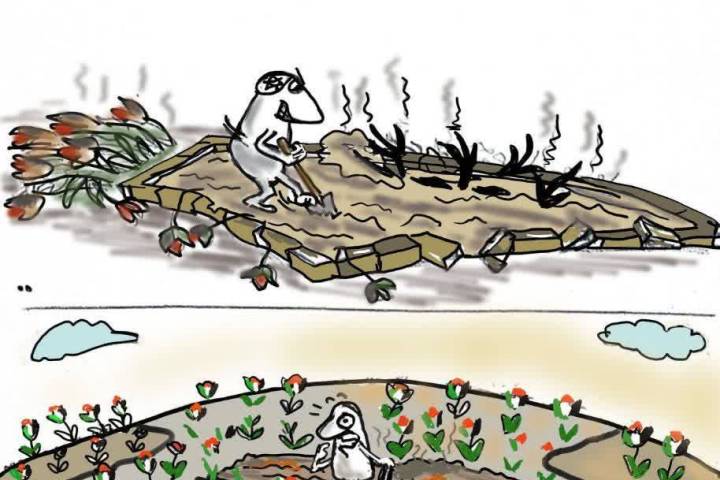 IUVM ARCHIVE | An effort that will pay off