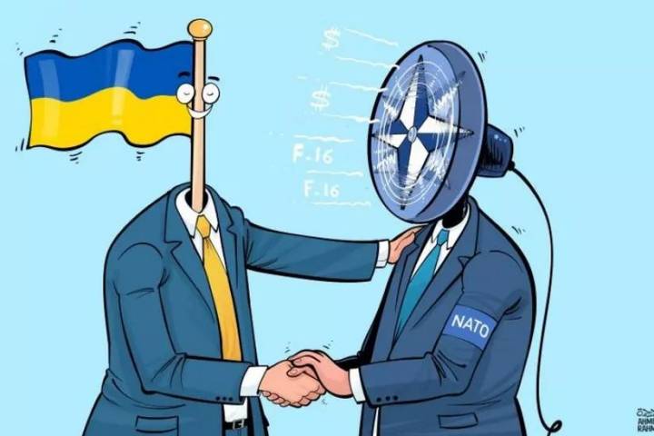 IUVM ARCHIVE | Support ukraine